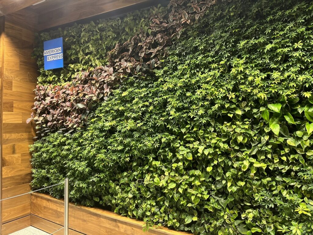 Review: American Express Centurion Lounge at Las Vegas Airport (LAS)