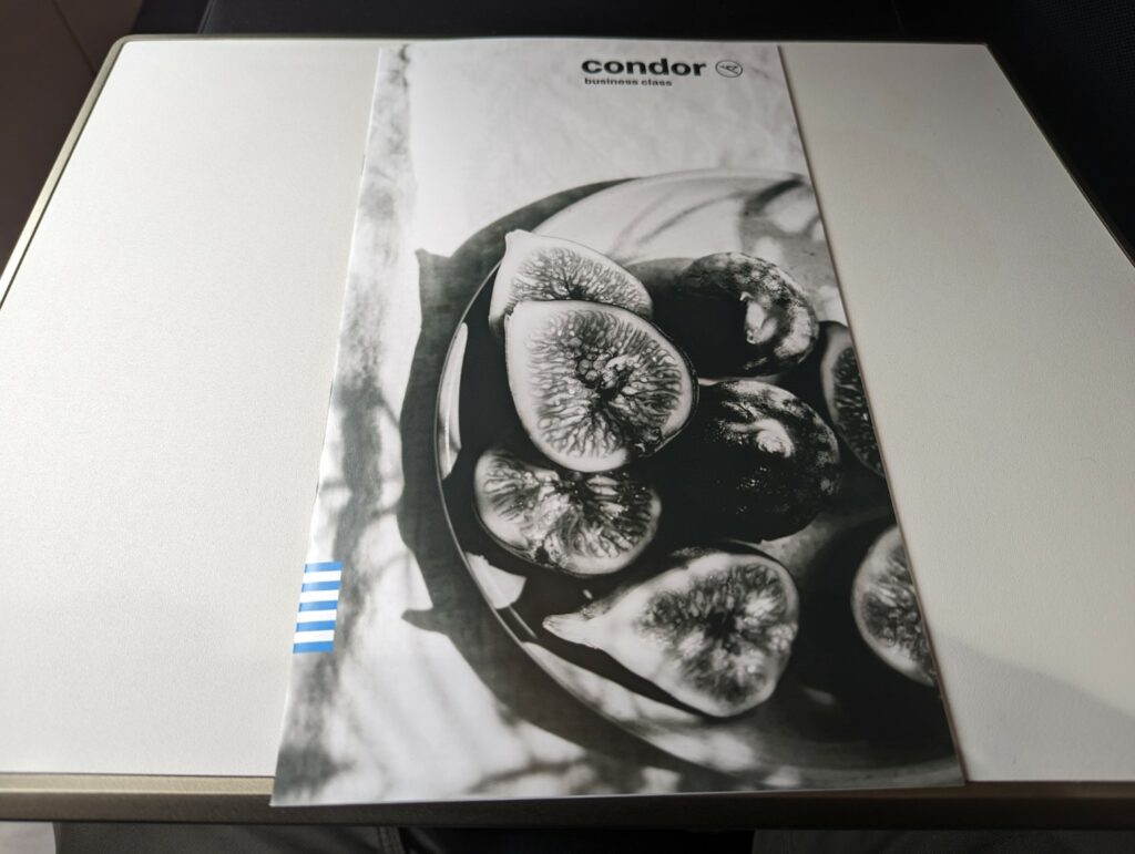 Review: Condor Business Class (A330neo) | Frugal Flyer