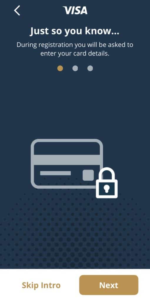 The Complete Guide to the Visa Airport Companion Program